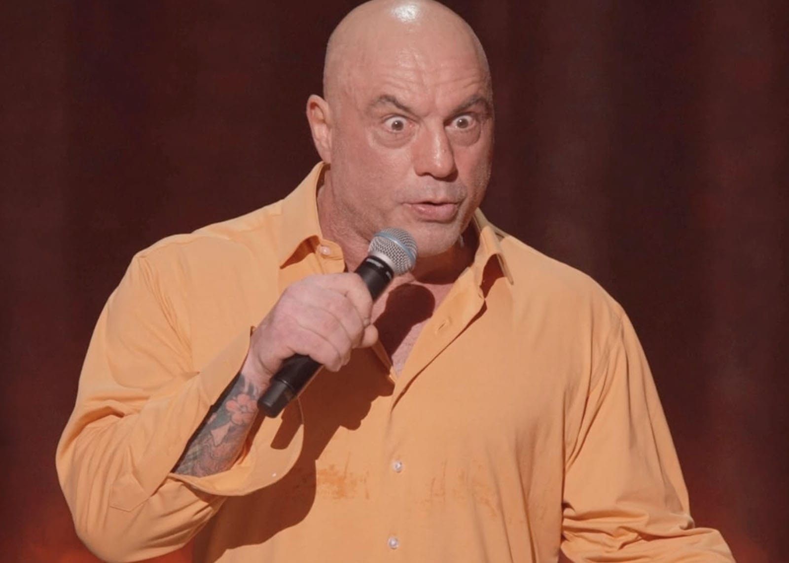 Suomalaiset eivät ole unohtaneet Joe Rogania – Uusi stand up -pätkä ...