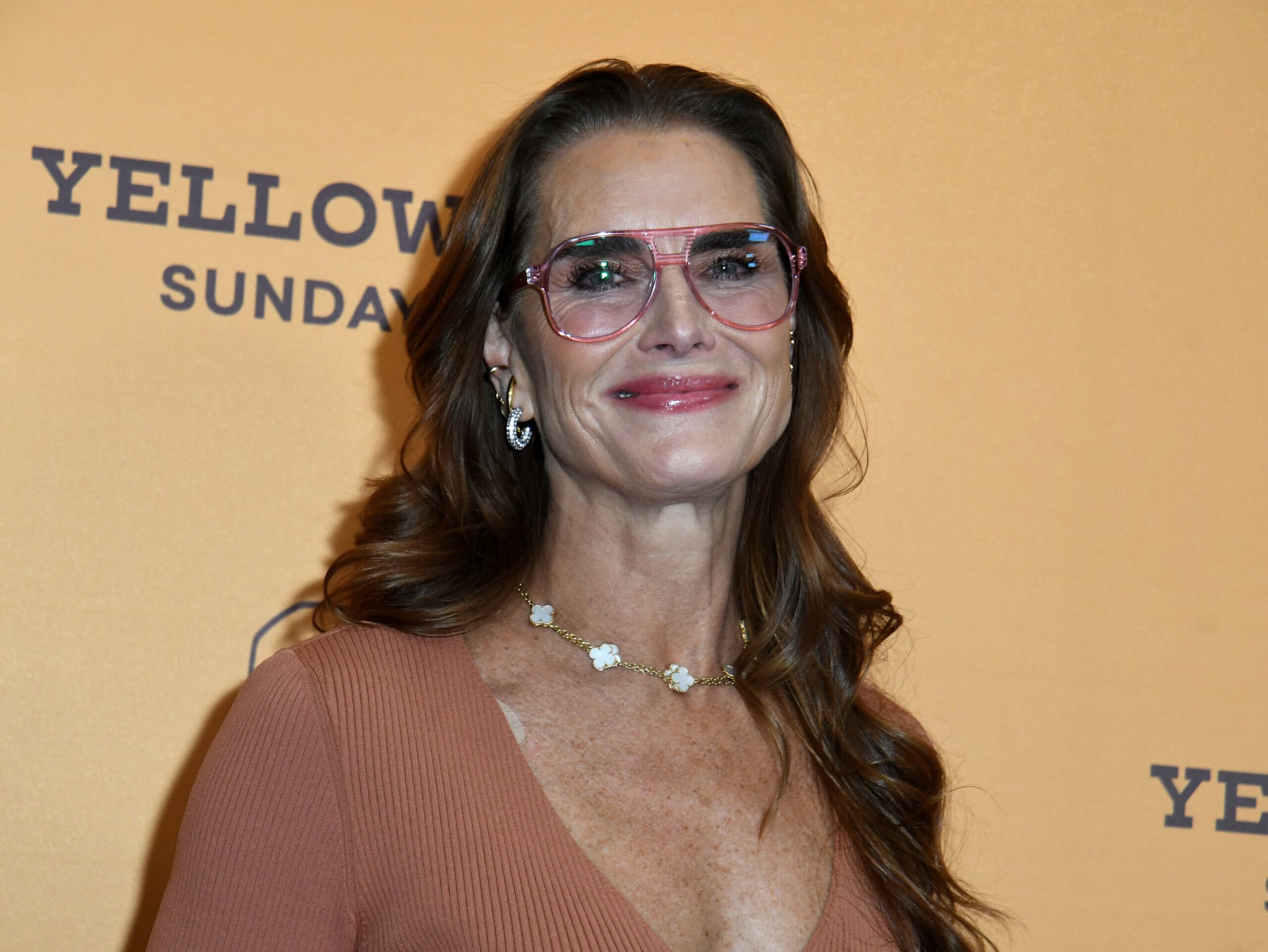 Brooke Shields oli häpyhuulten pienennysleikkauksessa: kirurgi antoi ...