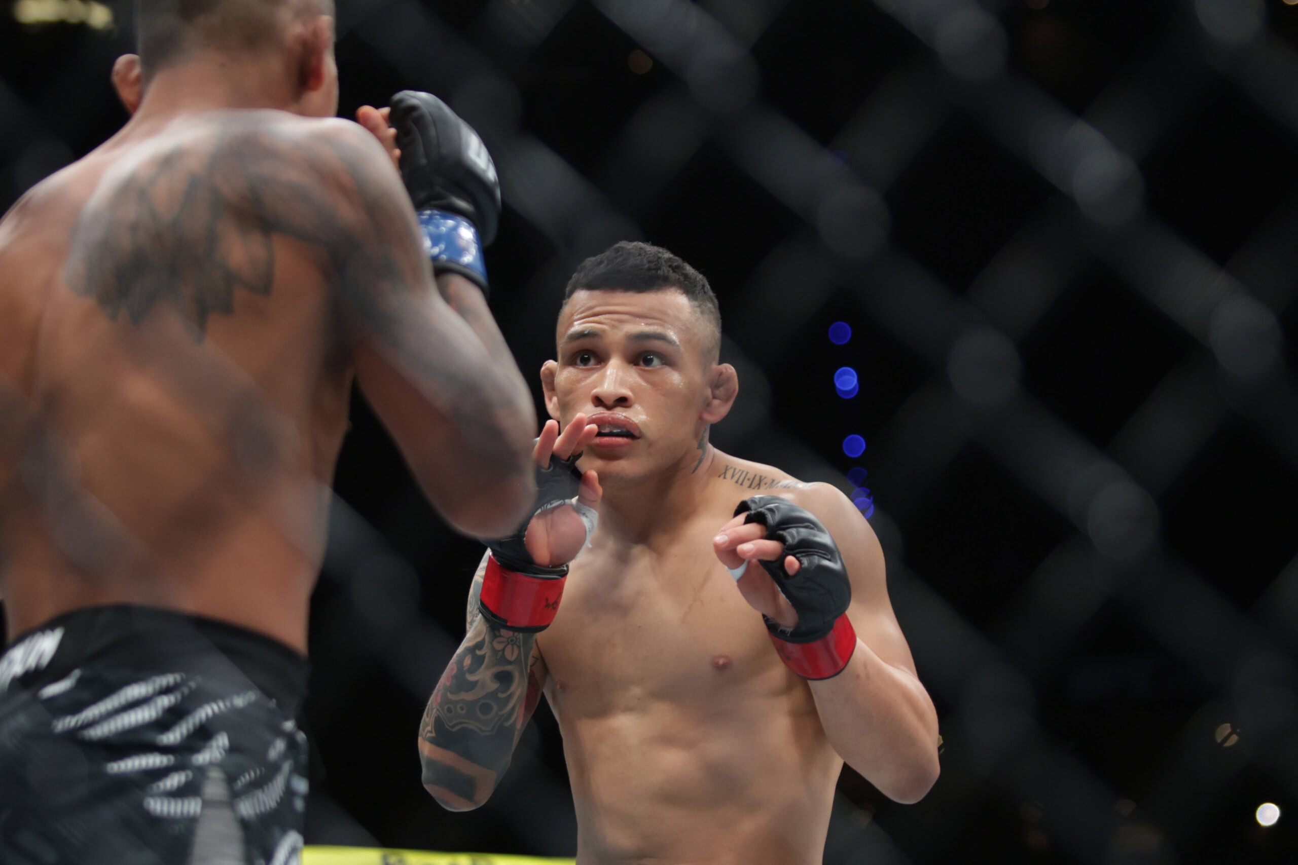 Zack Snyder tekee UFC-elokuvan – leffassa seurataan nousevaa ...