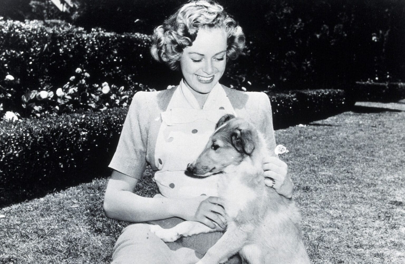 Lassie-näyttelijä June Lockhart on kuollut – Eli 100-vuotiaaksi ...