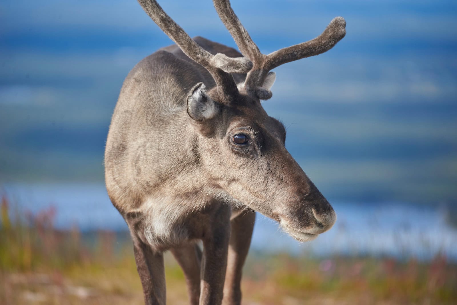 Erilaista tosi-tv:tä: Nyt seurataan Kaijan, Paulan ja Sepon liikkeitä ...