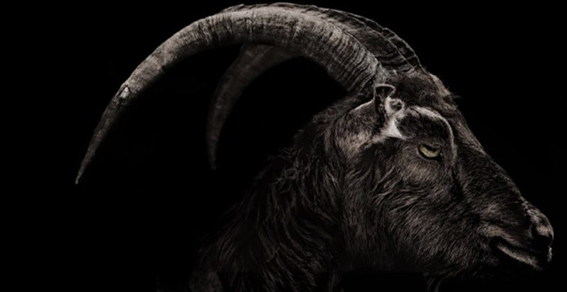 Valituissa elokuvateattereissa vain tänään: vuoden kauhutapaus The ...